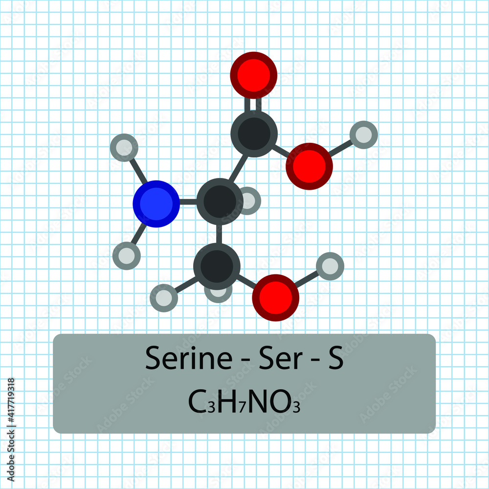 Serine - Ser - S - Amino Acid molecular formula and chemical structure ...