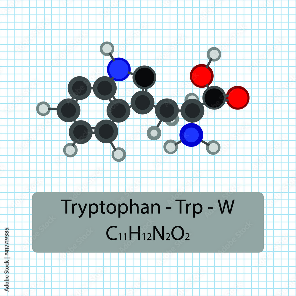 Tryptophan - Trp - W - Amino Acid molecular formula and chemical ...