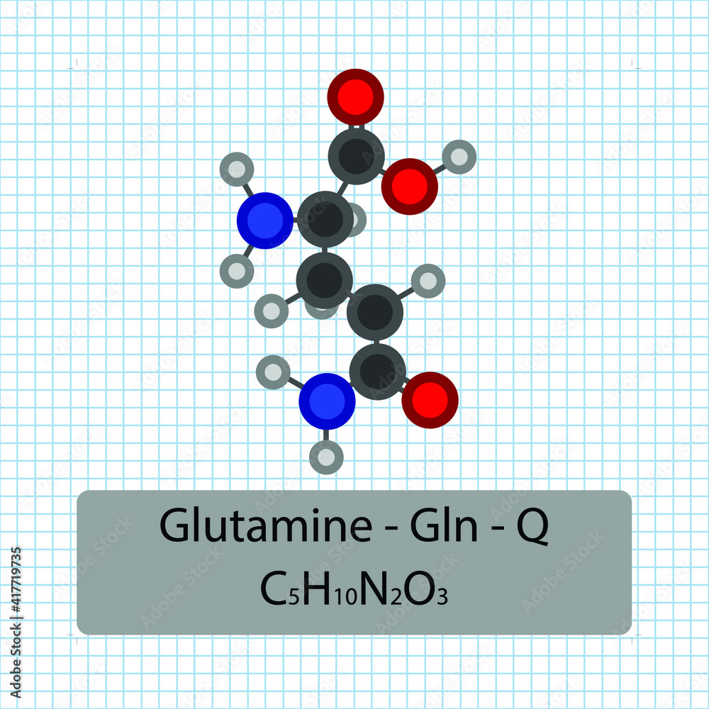 Glutamine - Gln - Q - Amino Acid molecular formula and chemical ...