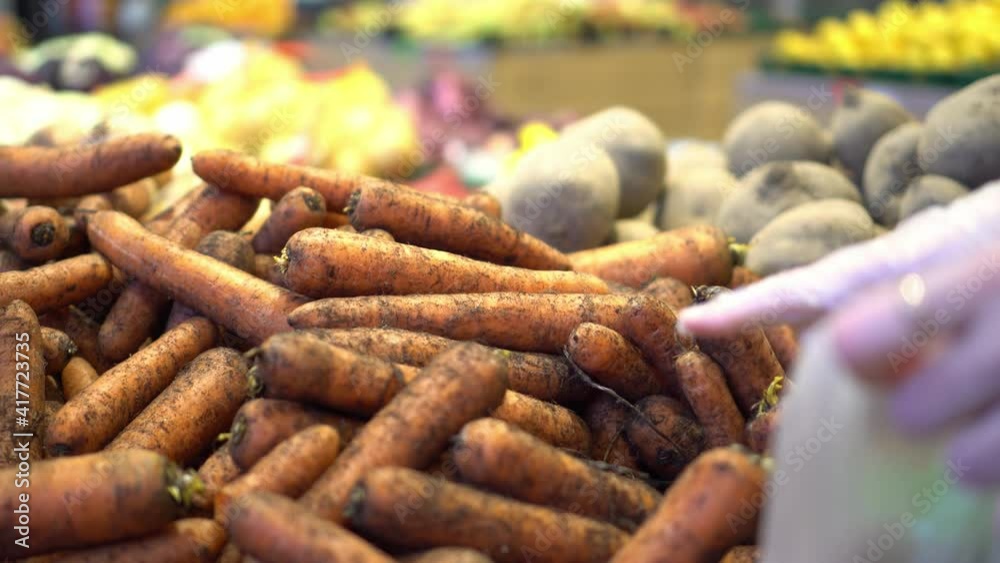 woman hand picks unwashed dirty carrots from basket shelf in ...