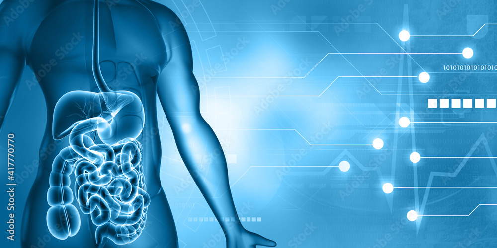 Human digestive system anatomy on scientific background. 3d ...