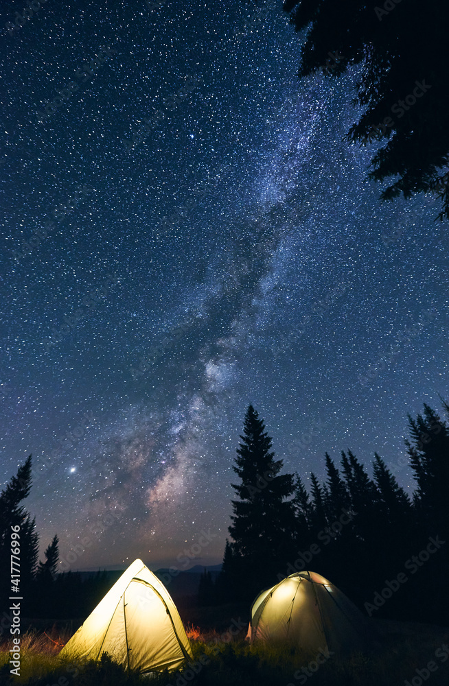Vertical shot of tourist camping in forest, warm summer evening. Two illuminated tents under ...