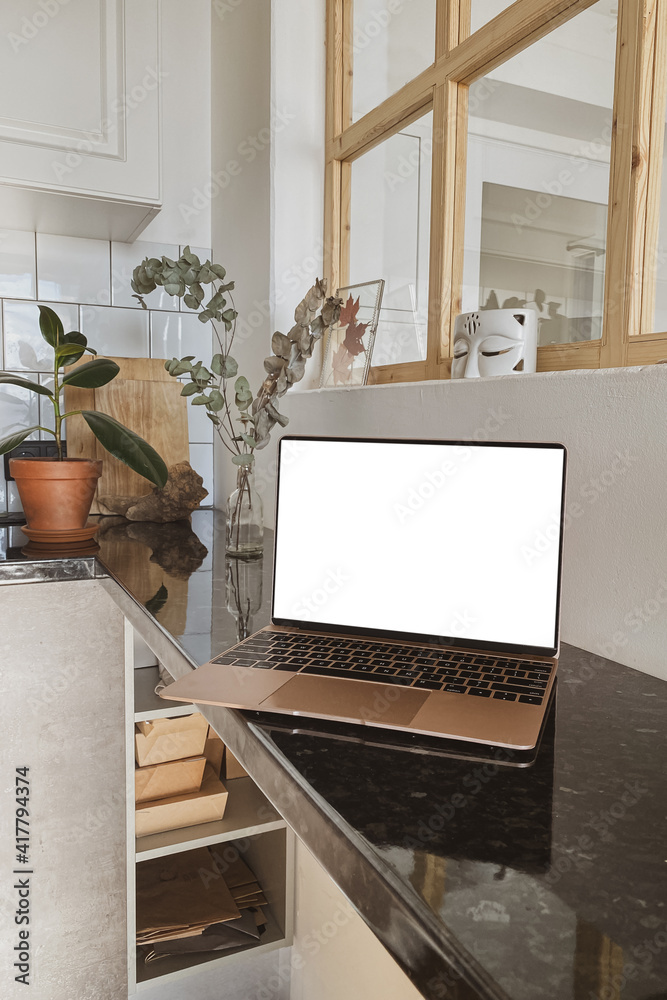 Laptop computer with white copy space screen display at home modern ...
