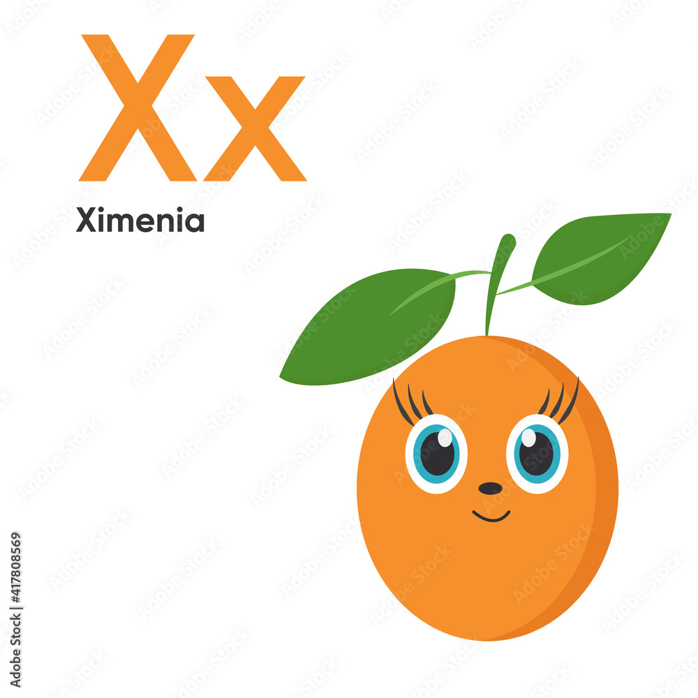 Cute Vegetables and Fruit Alphabet Series A-Z. Vector ABC. Letter Xx ...