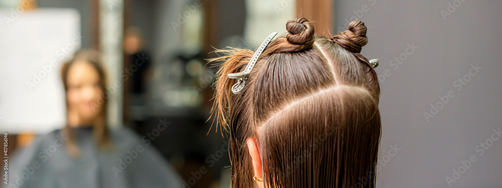 Back view of young brunette woman with split hair in sections in a hair ...