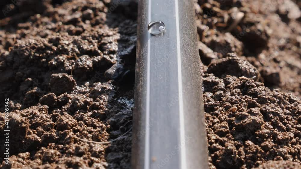 Drip irrigation system detail with dripping tape installed and working ...
