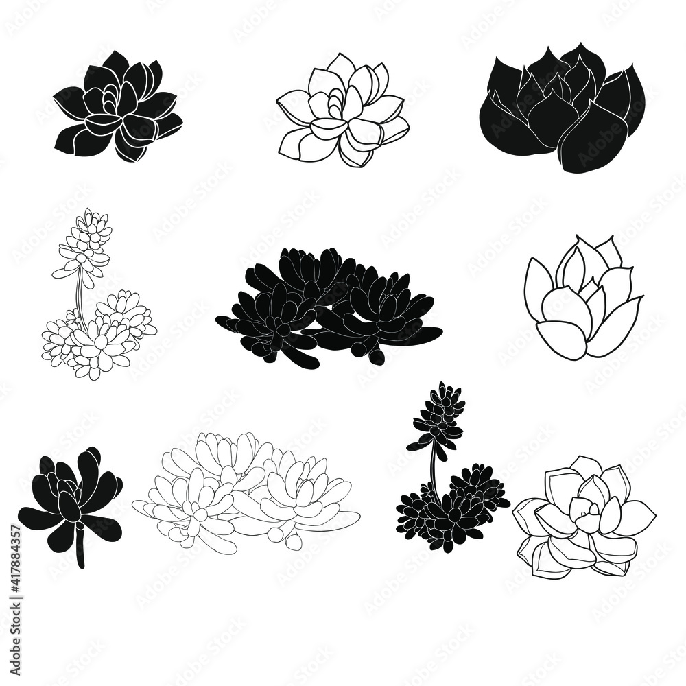 Black Succulent Plants Clipart. Succulent and cactus clipart Plants ...