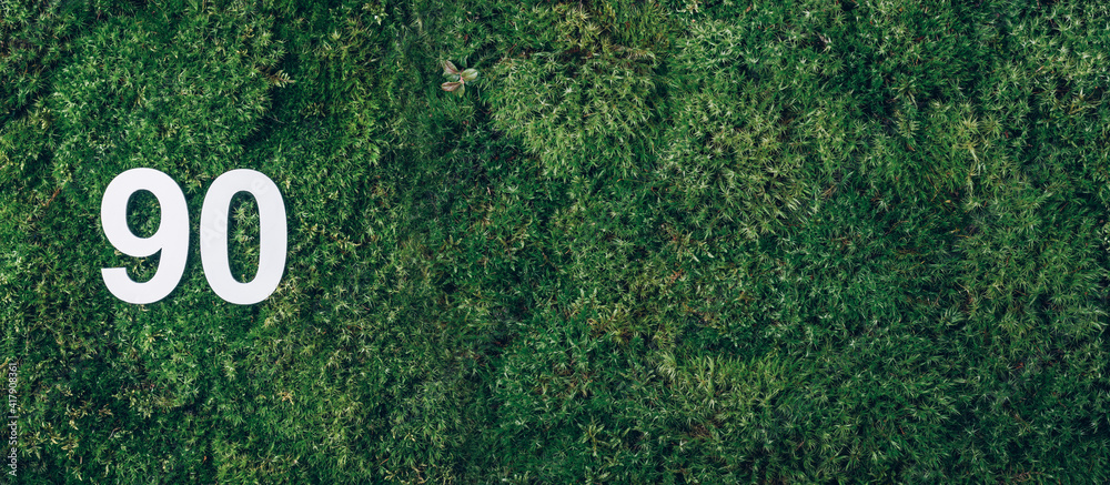 Green grass, digit ninety. Birthday greeting card with inscription 90 ...
