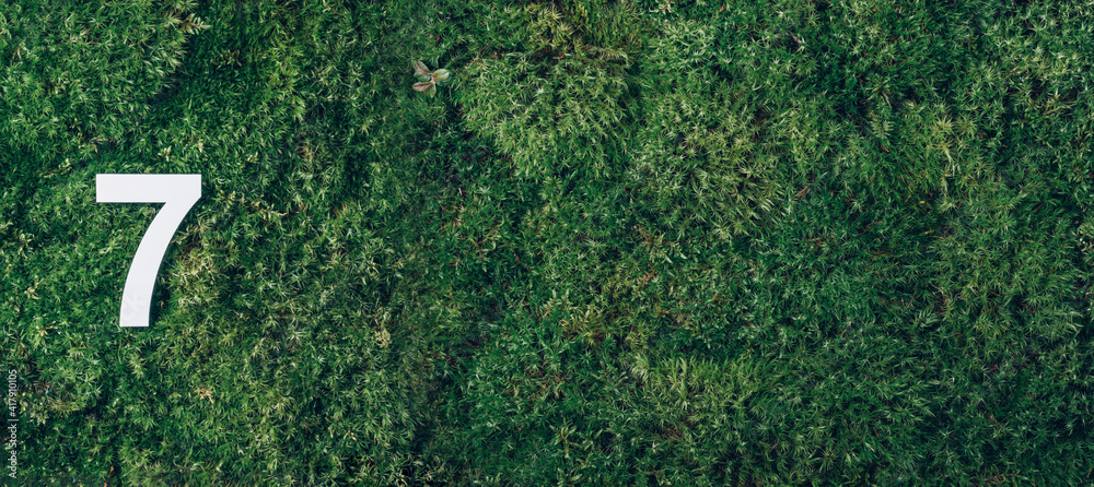 Ecology, zero waste. Green grass and digit seven 7. Birthday greeting ...