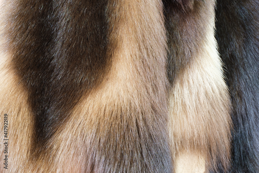 Products from natural fur wild animals Stock Photo | Adobe Stock