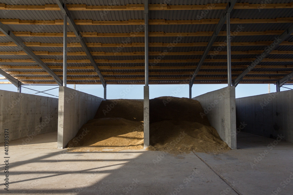 Warehouse for grain storage. View inside a large grain drying store ...