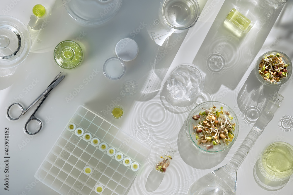 Macrobiotic food. Mix of fresh sprouts in glass jar. Nutrition value of ...