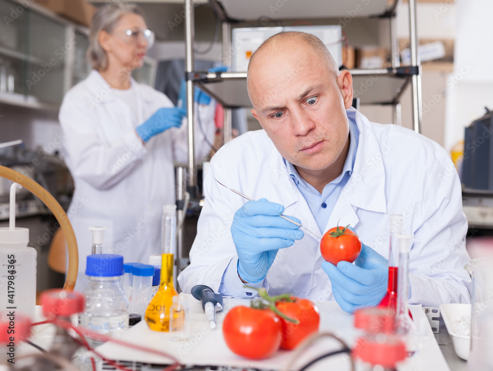 Professional geneticist working in laboratory, conducting experiments ...