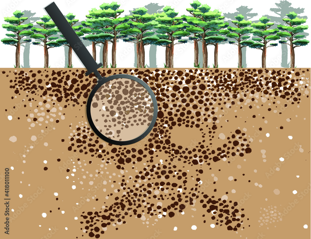 inside the soil layer and surrounding trees Stock Vector | Adobe Stock