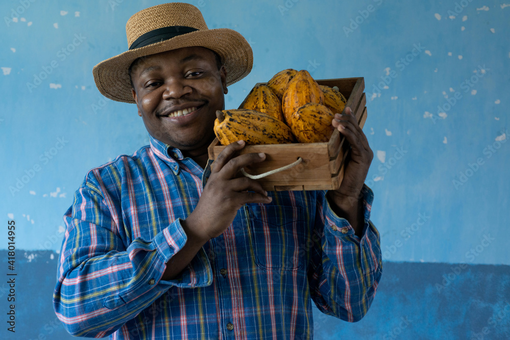 Happy African farmers carry crates of cocoa fruit, selective focus ...
