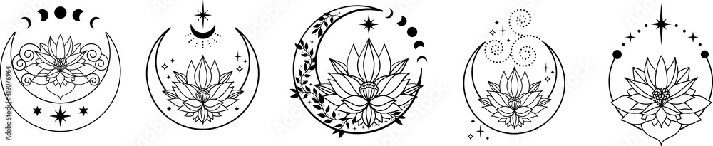 Crescent Moon And Lotus Flower Meaning | Best Flower Site