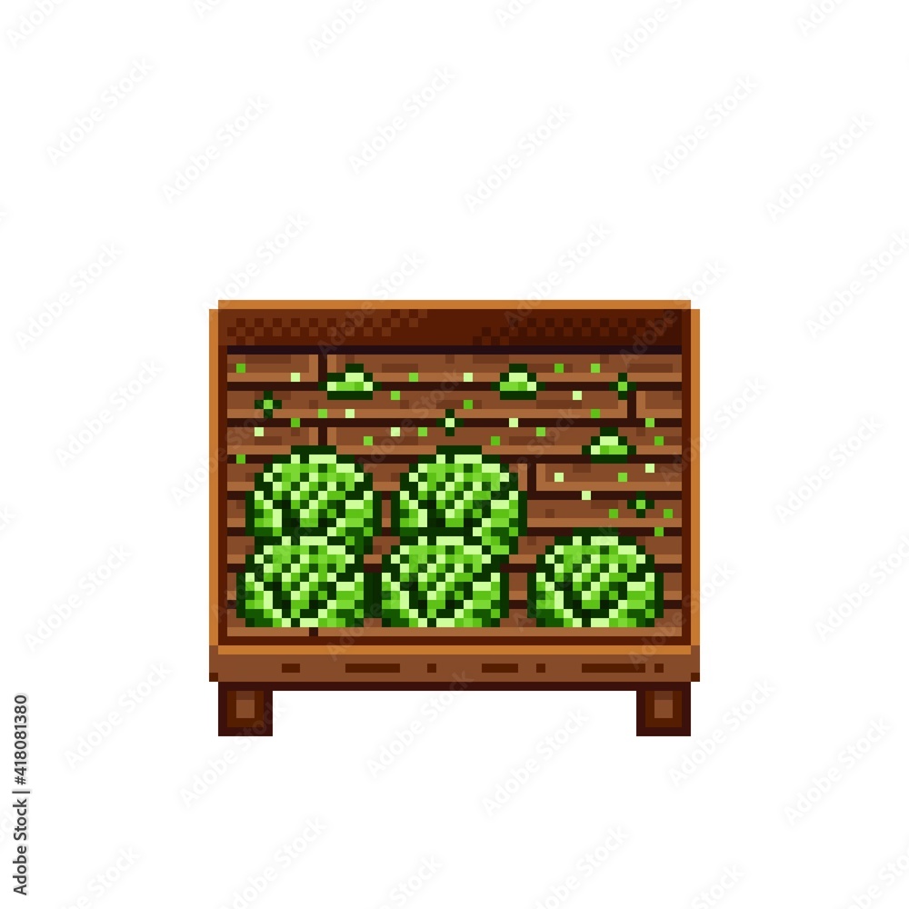 Vegetable shop pixel art. Cabbage in a wooden crate. Green headed ...