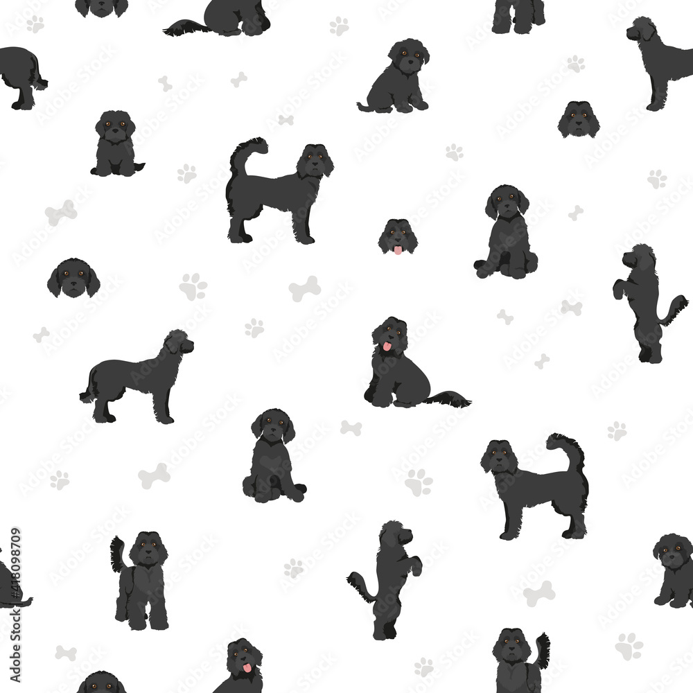 Labradoodle seamless pattern. Different poses, coat colors set. Stock ...