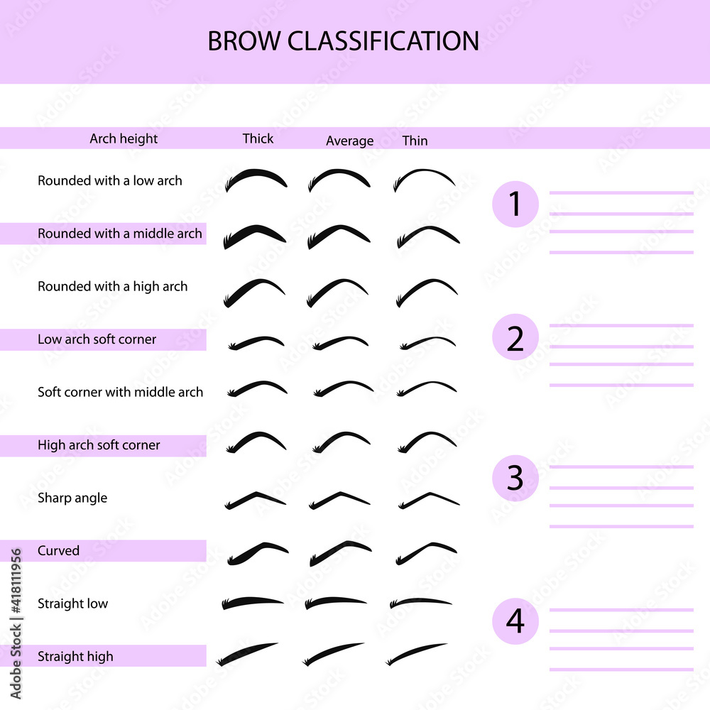 Eyebrow classification, eyebrow training materials, vector illustration ...