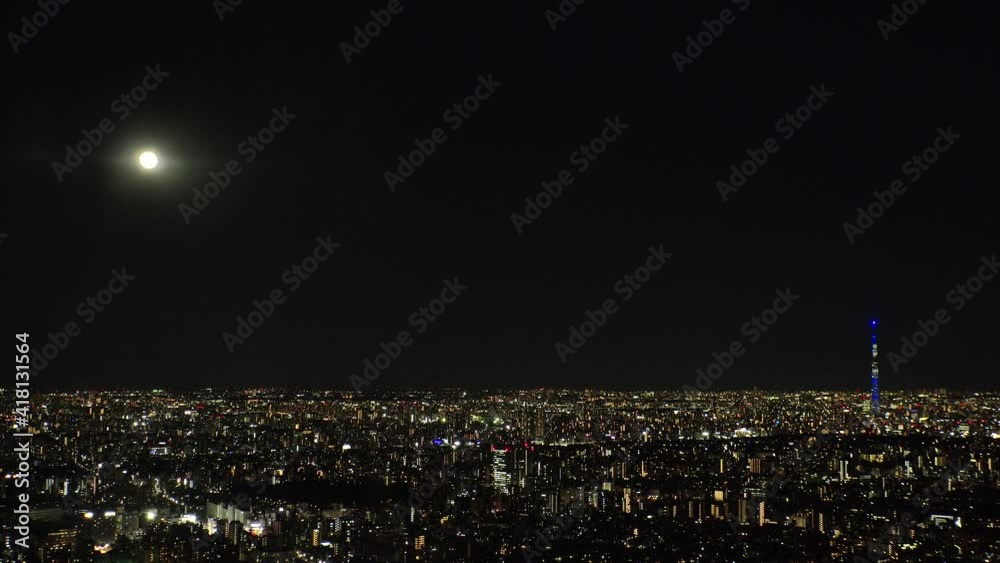 TOKYO, JAPAN : Aerial view of CITYSCAPE of TOKYO at night. View of busy ...