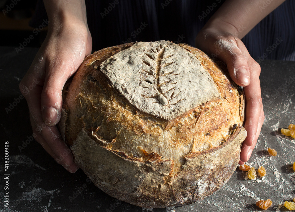 Close up photo of woman's hands holding fresh artisan bread with wheat ...
