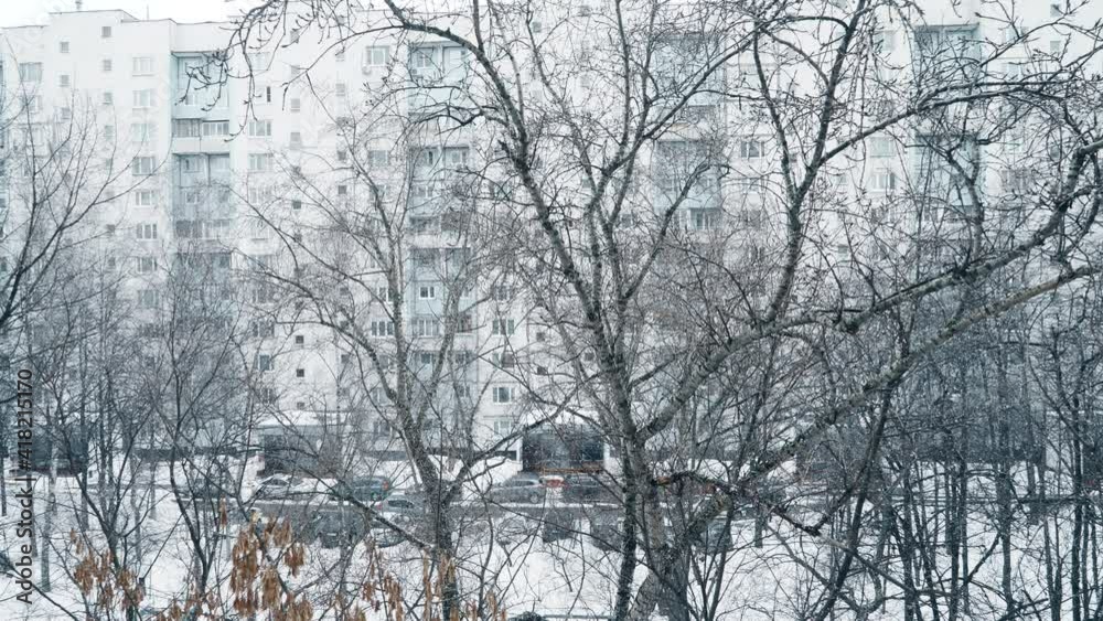 Vidéo Stock Winter snow-covered city park. Spreading branches of bare ...