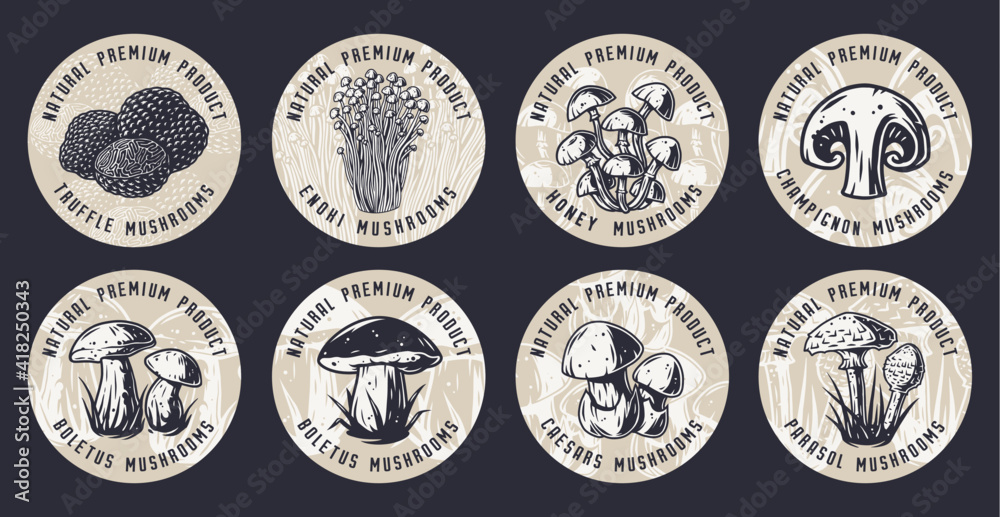 Set of mushrooms for food industry. Mushroom elements for vegetarian ...