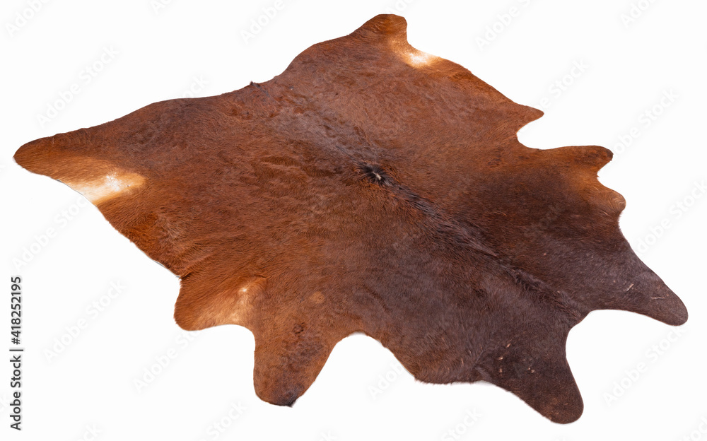 Isolated picture of part of a cow skin on a white background Stock ...