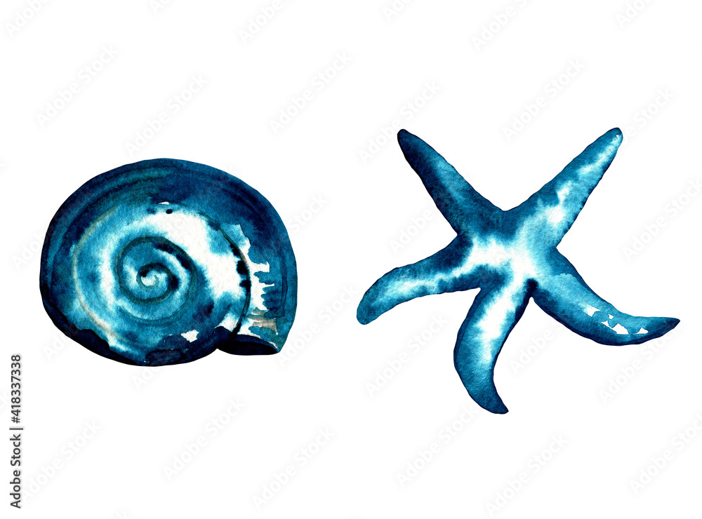 Watercolor cartoon blue starfish and shell clip art isolated on white ...