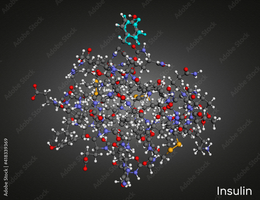 Human Insulin molecule. It is peptide hormone, produced by beta cells ...