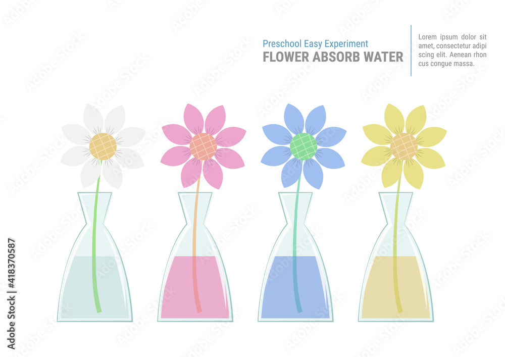 Plants absorb water experiment vector illustration. Basic science ...