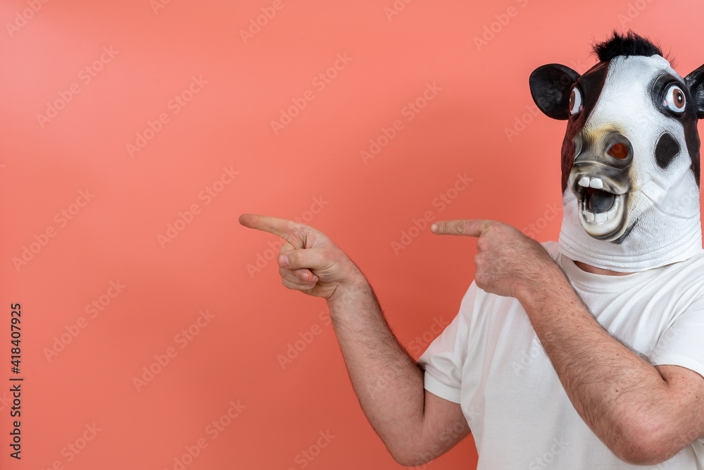 person disguised as a cow pointing with both hands Stock Photo | Adobe ...