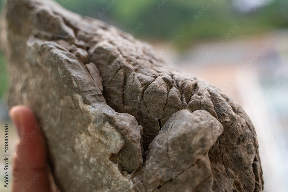 Natural frodo stones with beautiful shape and textures for gardening ...