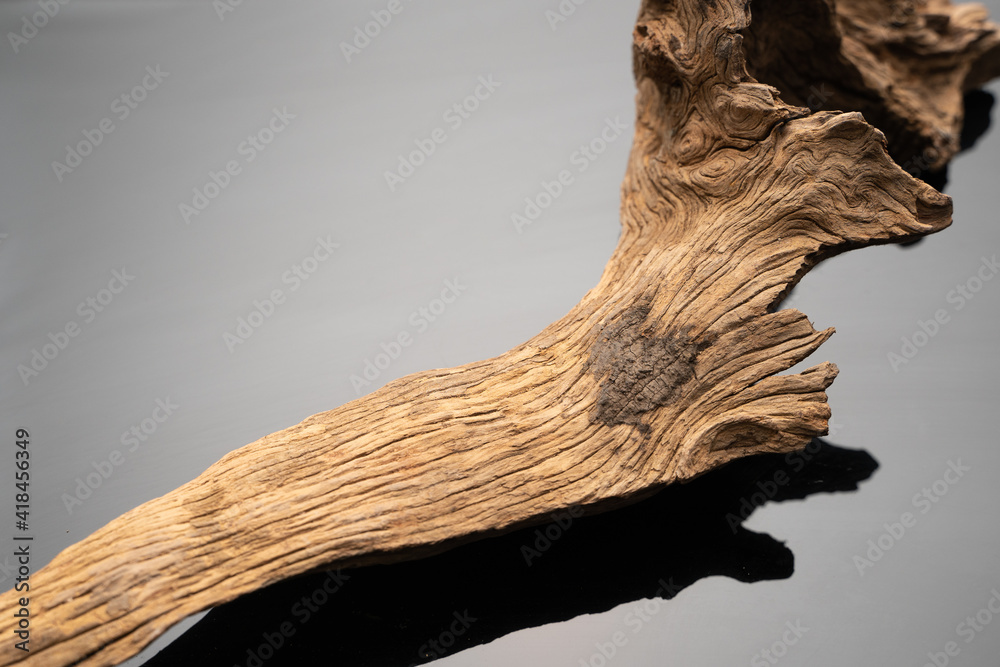 Natural drift wood with beautiful shape and textures for gardening ...