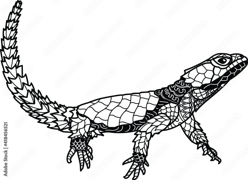 Armadillo Lizard Zentangle for Adult Coloring Page or Decoration Stock ...