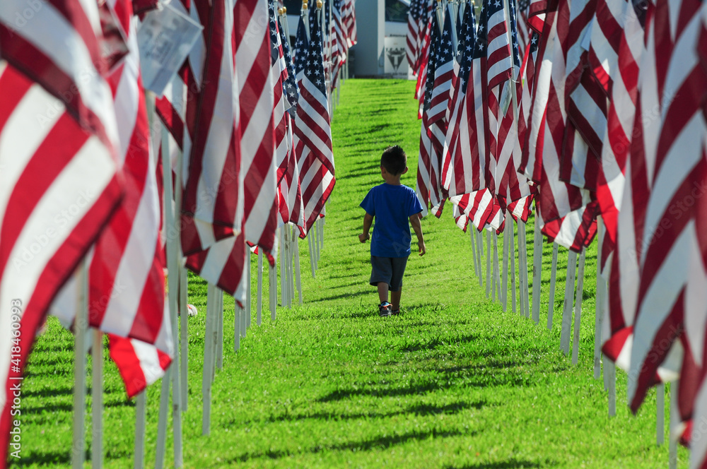 Boy walking between a row of American flags at public park Stock Photo ...