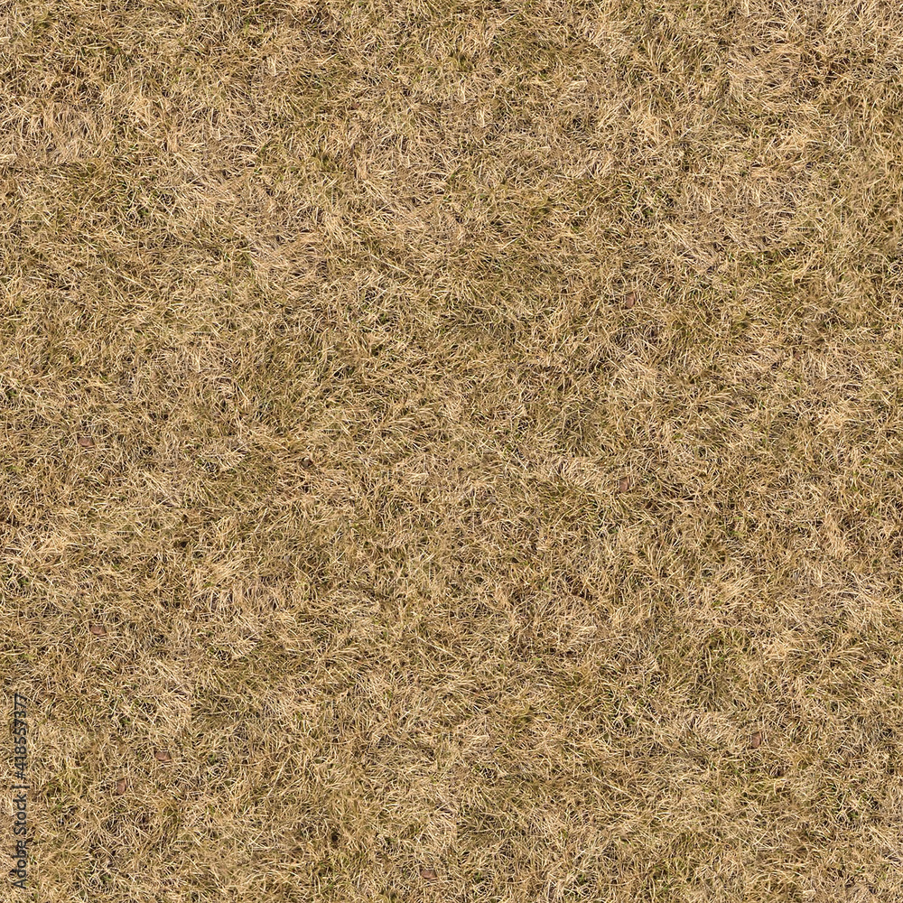 Dry Grass Seamless Texture Material Map for creating materials ...