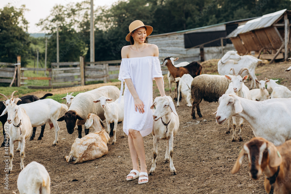 Beautiful woman and white dress and in a beige hat among goats on an ...