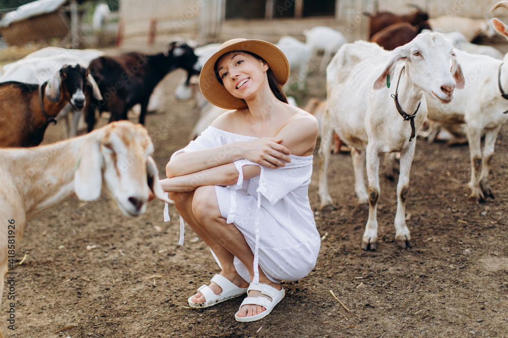 Beautiful woman and white dress and in a beige hat among goats on an ...