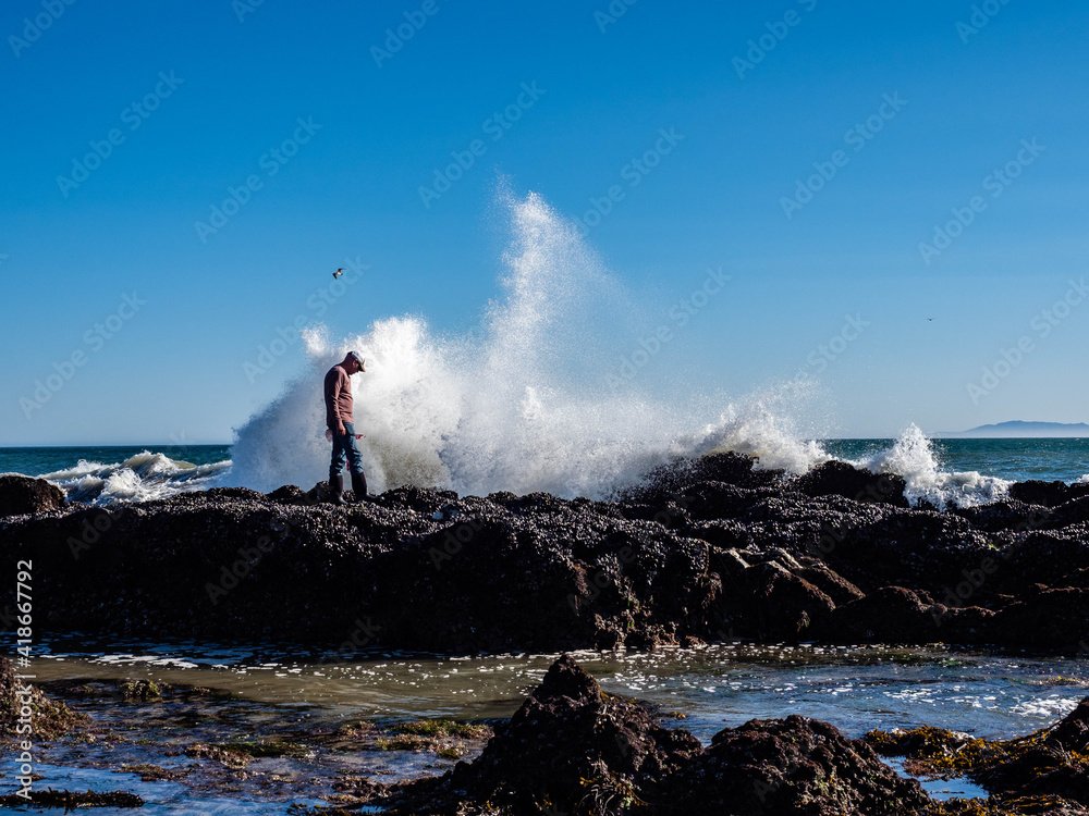 Foto de Man walking on rocks and mussels in the intertidal zone at Tar ...