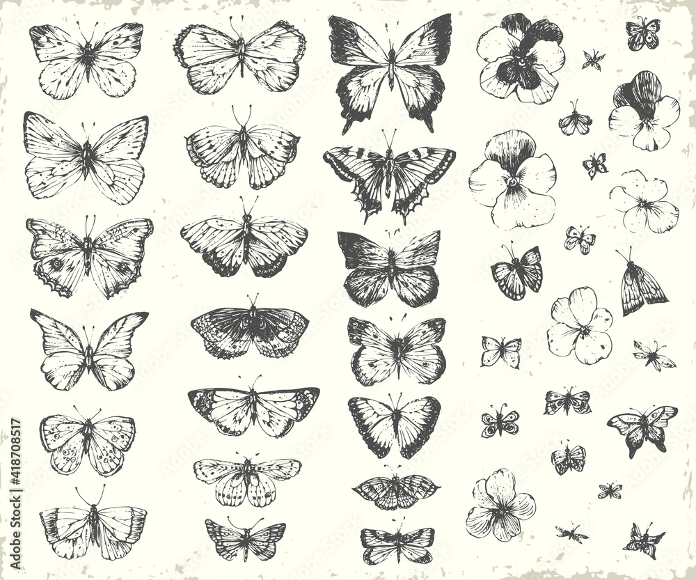 Hand drawn line art insects and flowers set. Stock Vector | Adobe Stock