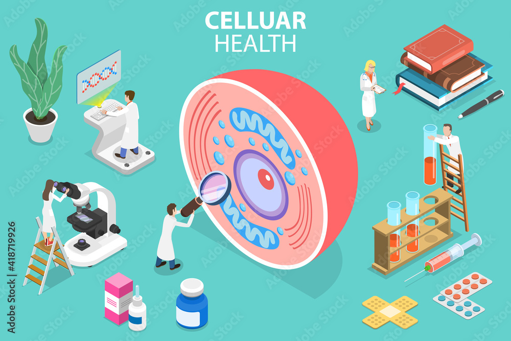 3D Isometric Flat Vector Conceptual Illustration of Cellular Health ...