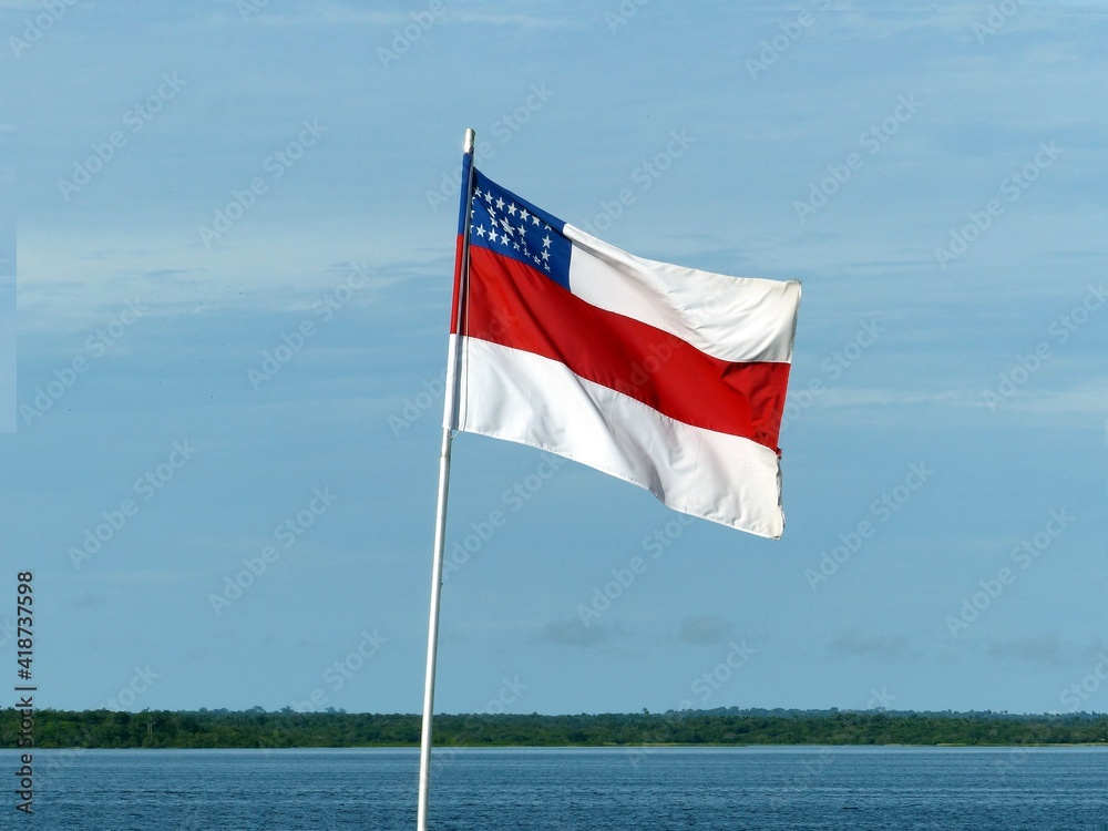 Flag of the state of Amazonia, in the background the Rio Negro river ...