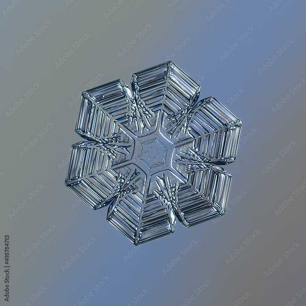 Snowflake glittering on smooth gradient background. Macro photo of real ...