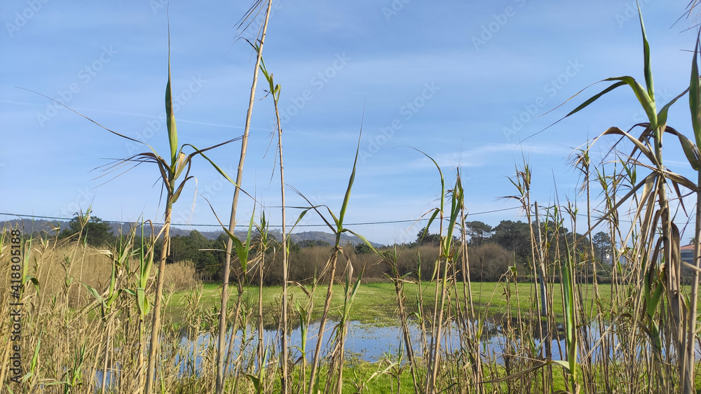 Waterlogged fields in farming countryside after heavy rain in Esposende ...