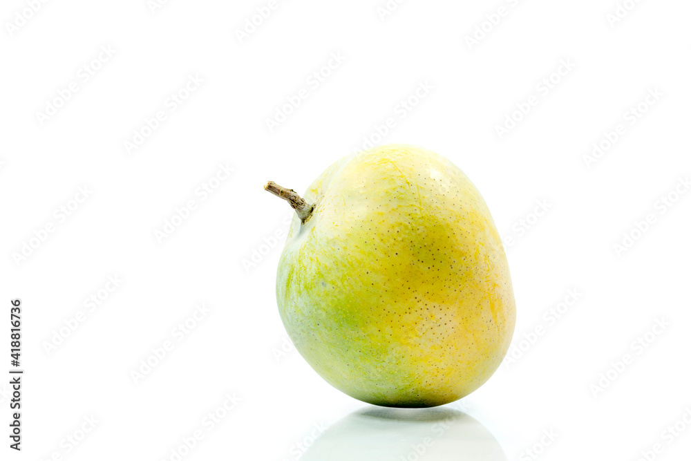 xtra jumbo size of organic R2E2 mangoes for sale at the fruit market ...