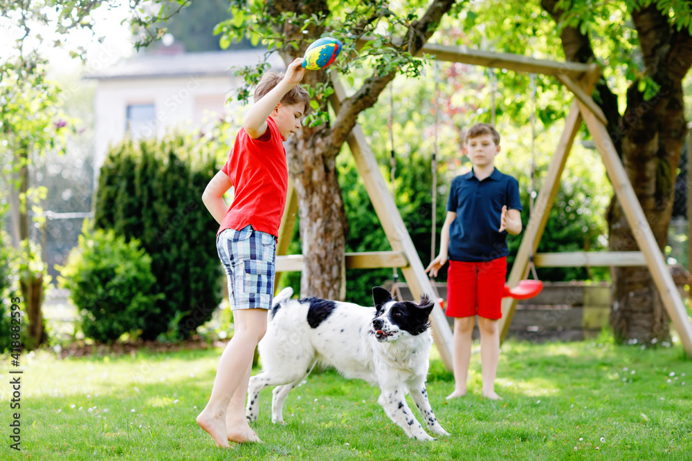Two kids boys playing with family dog in garden. Laughing children ...