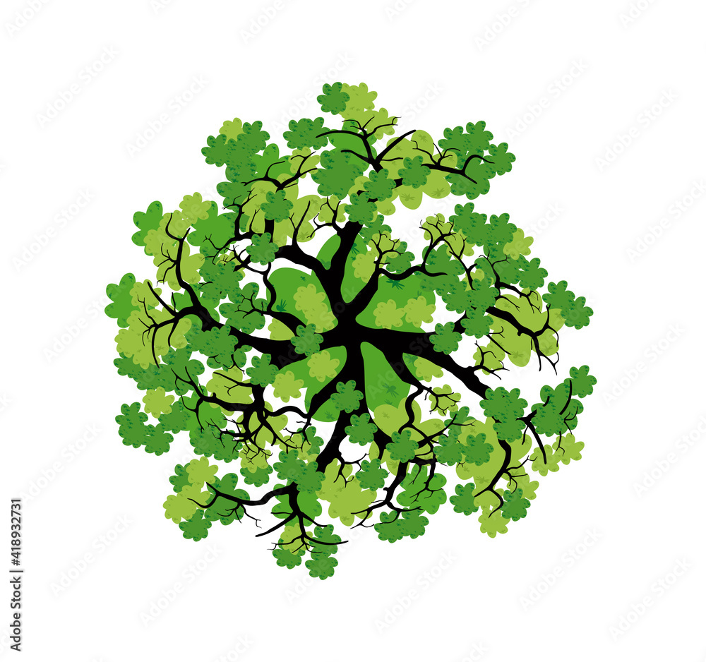 Tree top view. Easy to use in your landscape design projects Stock ...