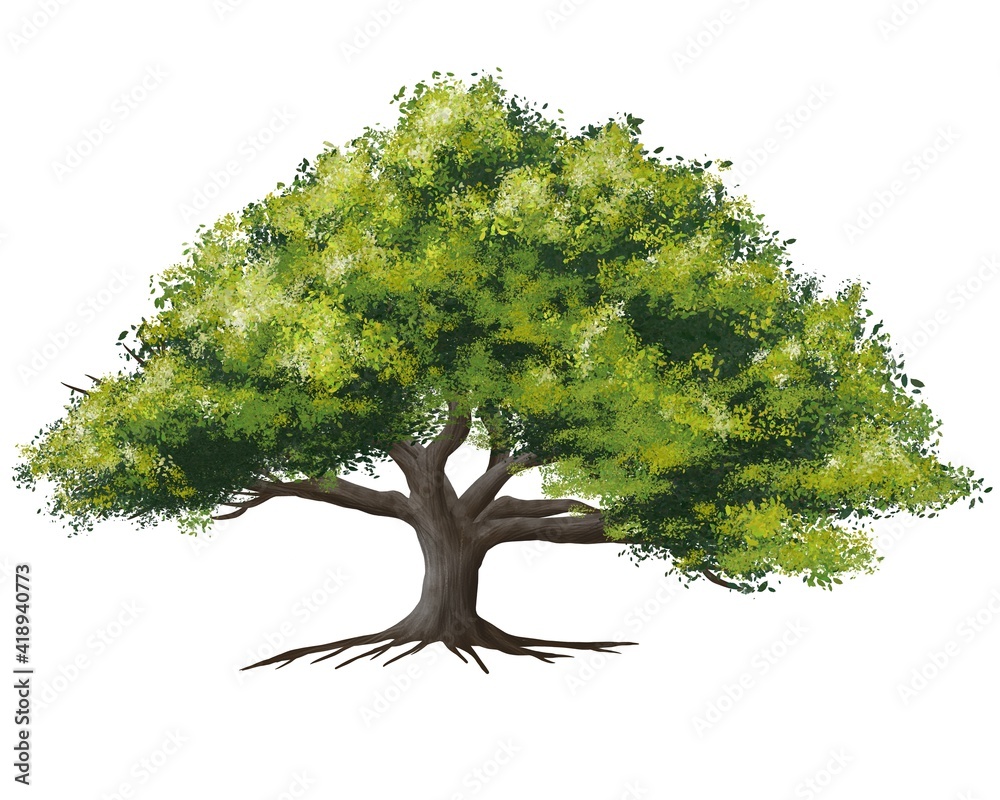 abstract watercolor green tree side view isolated on white background ...