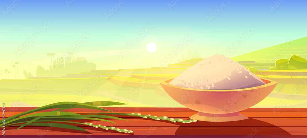 Sprouted white rice and bowl with cereals on wooden desk at asian field ...